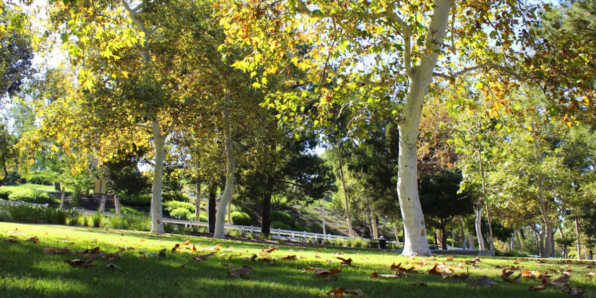 Travis Ranch Youth Park – Yorba Linda - PoGO Nest - Crowdsourced ...