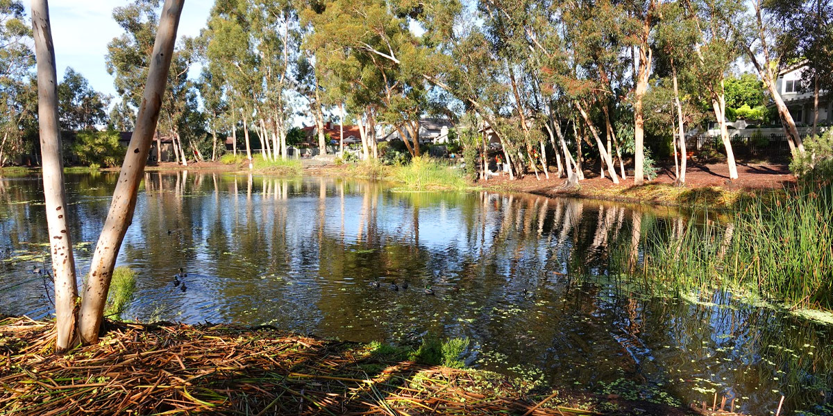 Hendrix Pond Park – San Diego - PoGO Nest - Crowdsourced Pokémon GO ...