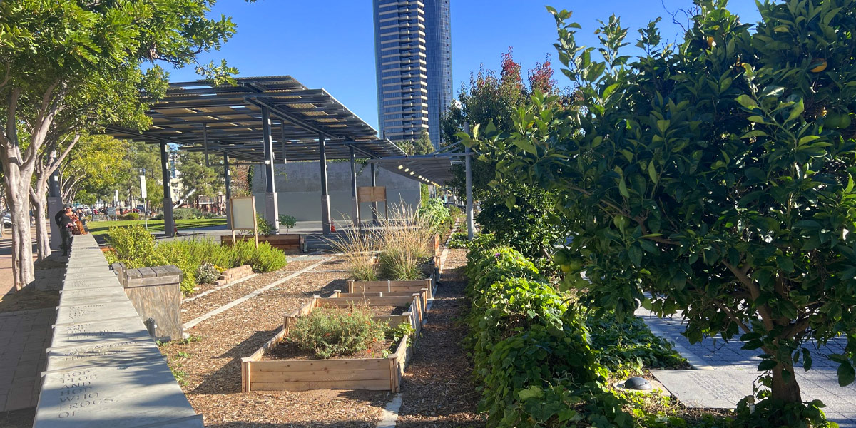 New Childrens Museum Park – San Diego - PoGO Nest - Crowdsourced ...