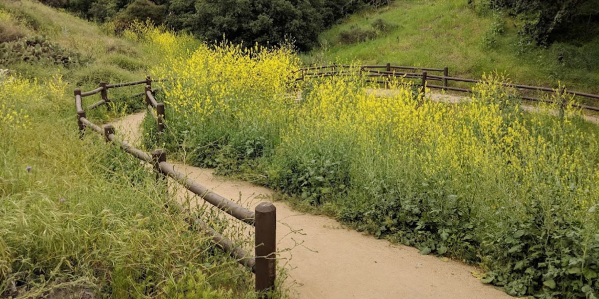 Trails at Summitridge Park – Diamond Bar - PoGO Nest - Crowdsourced ...