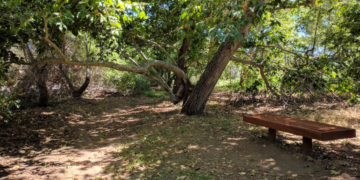 Dinwiddie Preserve – Fallbrook - PoGO Nest - Crowdsourced Pokémon GO ...